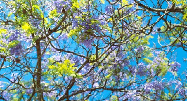 Mental Health and Wellbeing | Better Health North Somerset